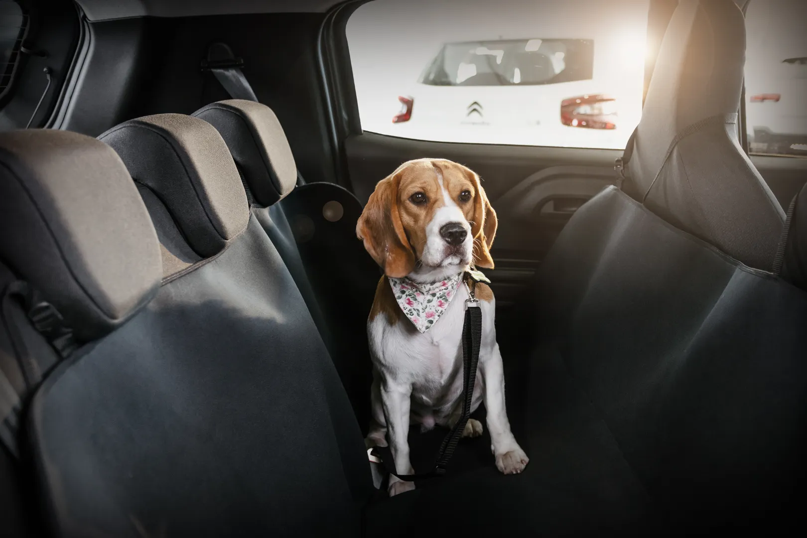 Peças e Acessórios Genuínos Stellantis | MOPAR